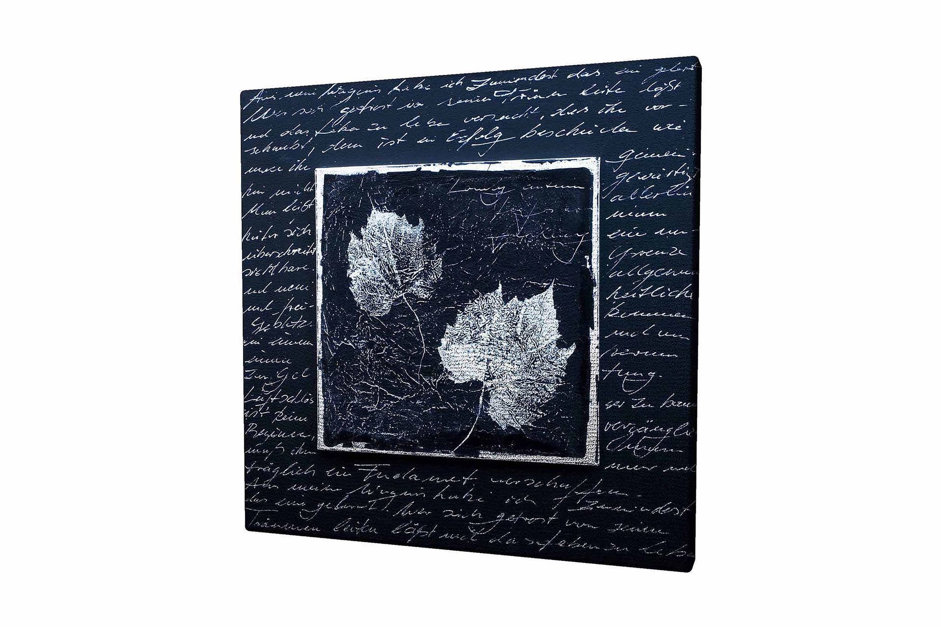 Canvastavla 45x45 cm - Silhuetter av löv på en mörk bakgrund med ...