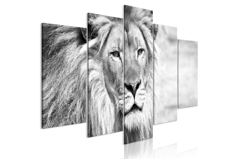 Tavla The King Of Beasts 5 Parts Wide B&W 100x50 Artgeist sp. z o. o ...